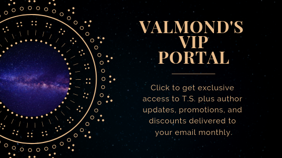 VIP portal – T.S. Valmond
